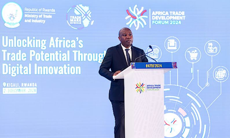Digital innovation key to unlocking Africa’s trade potential, officials ...