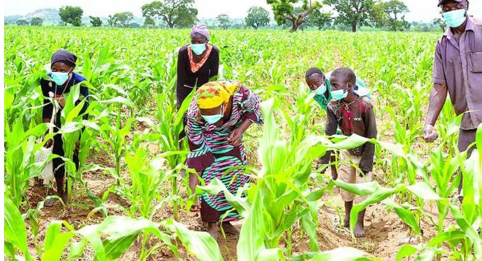Rwanda launches agriculture strategy to build resilient, sustainable ...